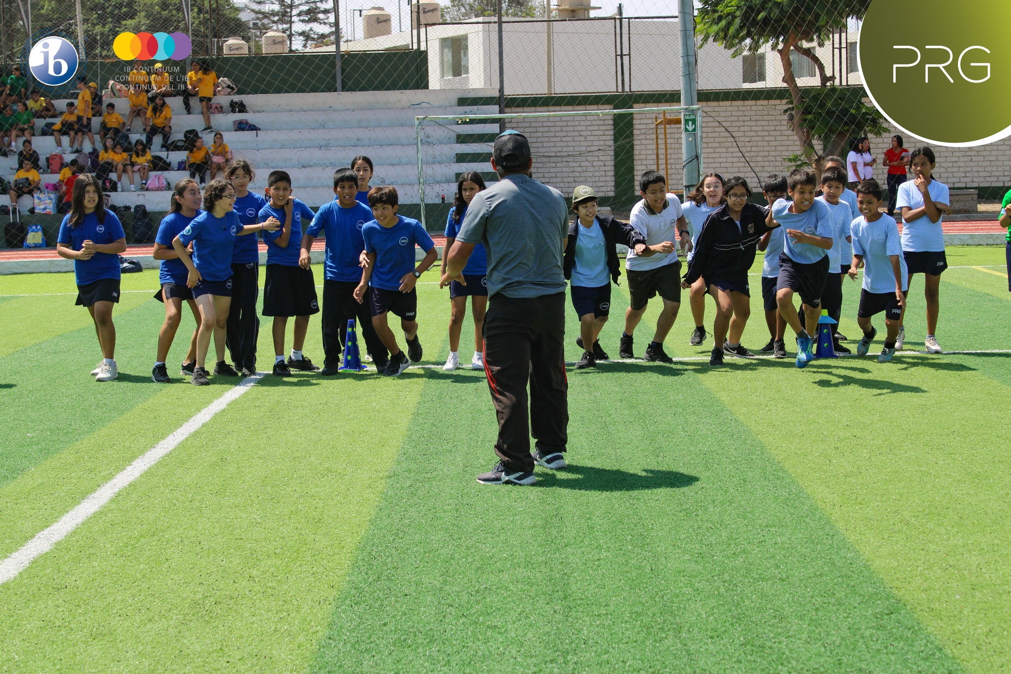 Bienvenidos al Programa de los Años Intermedios (PAI) IB del CEP Pedro ...